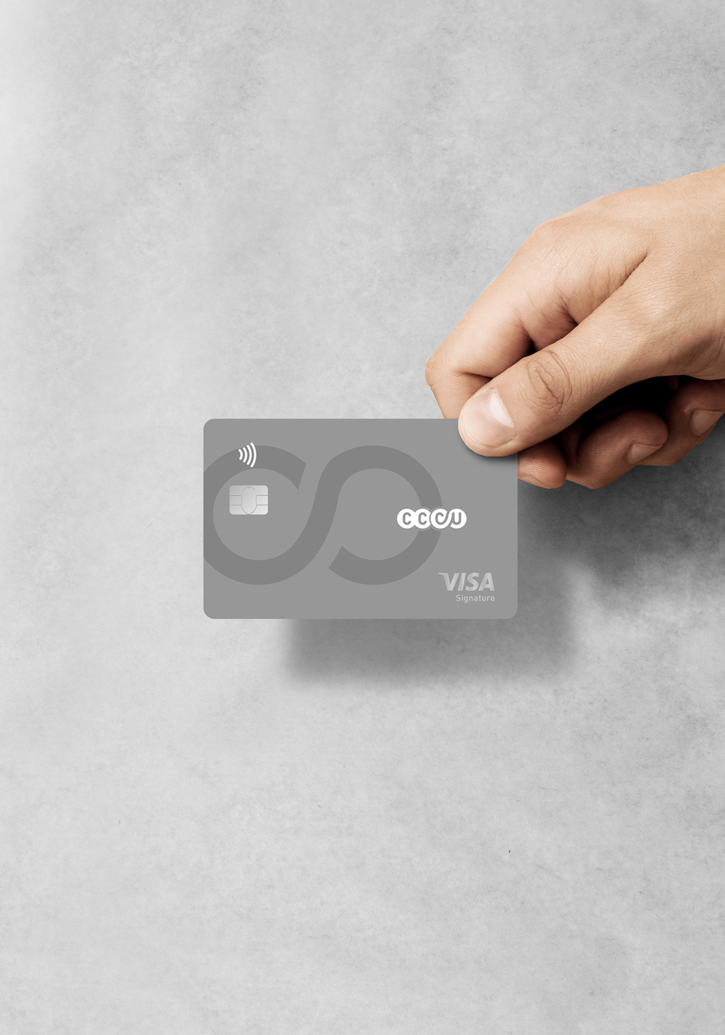 Visa Credit Card